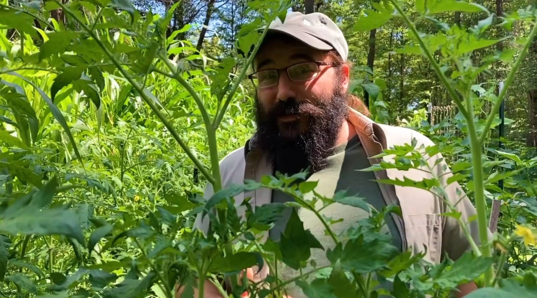 Pollination and Varietal Purity – Videos – Mother Earth News